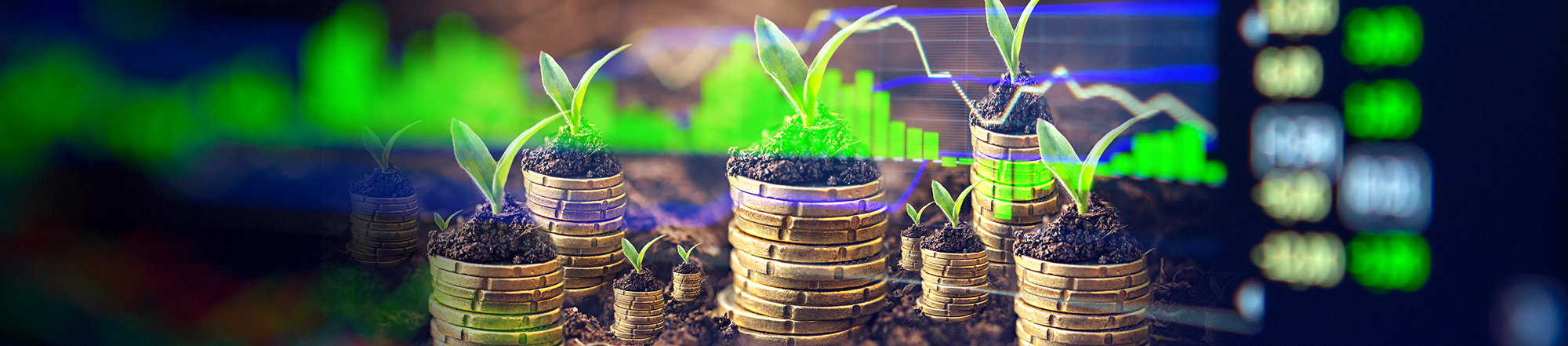 Trading Signals - Sword